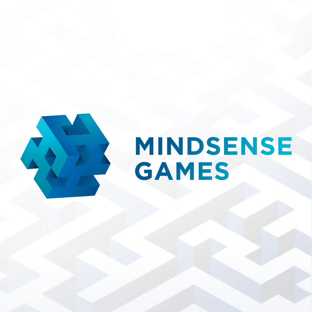 Logic Path gallery - Mindsense Games